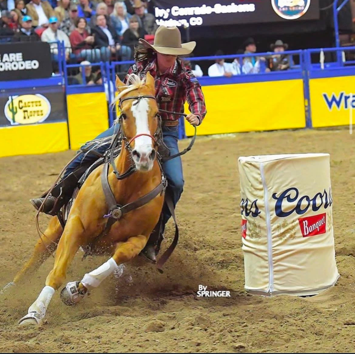 Combination Bits – Flaharty Bits and Spurs